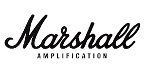 Amplification | Intersound Guitars