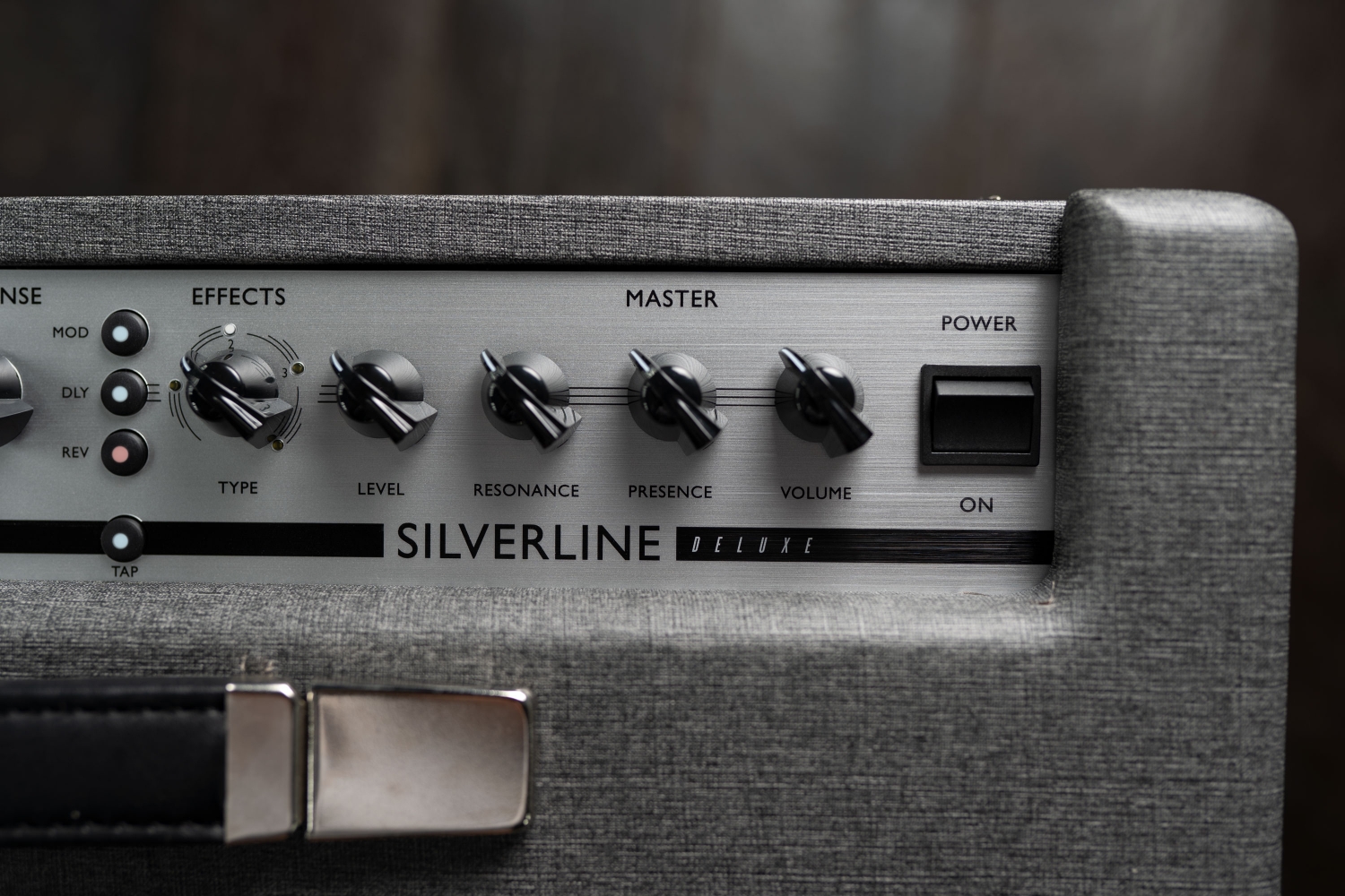 SILVERLINE-DELUXE-TOP-DOWN-LOGO – Intersound Guitars